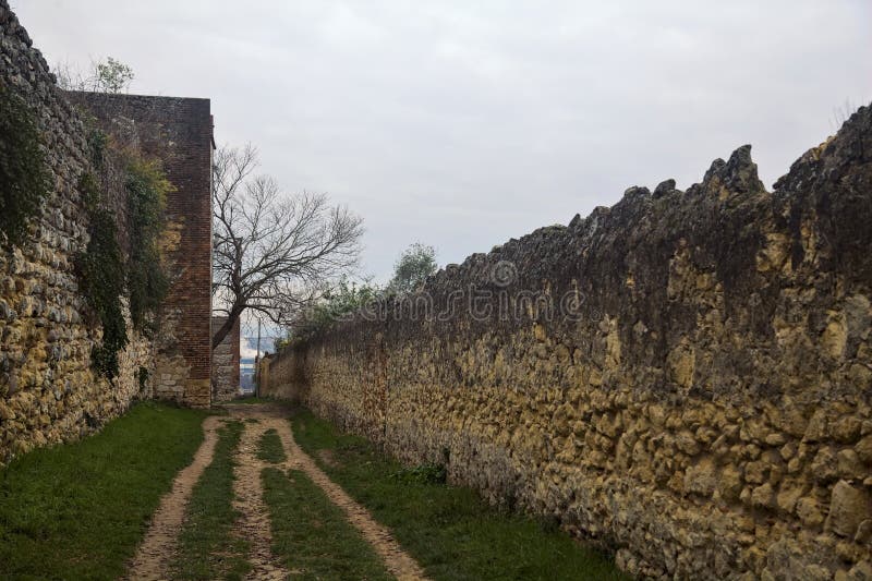 Bare Tree Growing Sideways on a Dirt Path Bordered by Fortifications on ...
