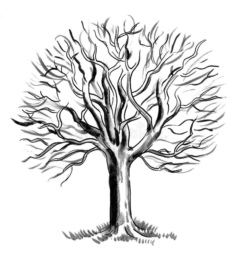 Bare tree stock illustration. Illustration of black - 196271056