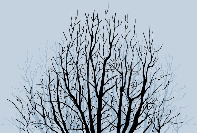 Bare Tree Limbs stock vector. Illustration of element - 9298977