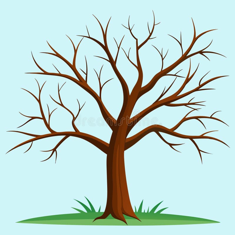 A Bare Tree with No Leaves on it Stock Vector - Illustration of ...