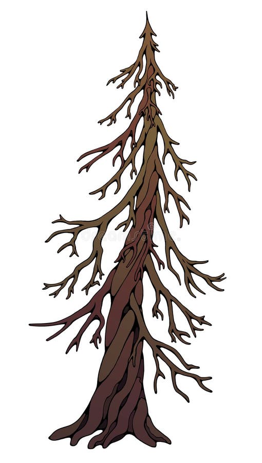 Bare tree with no leaves stock image. Illustration of tree - 327968941 Bare tree with no leaves stock image. Illustration of tree - 327968941