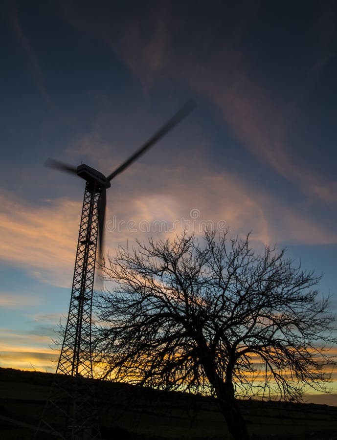 Bare tree with propeller stock image. Image of propeller - 63203507