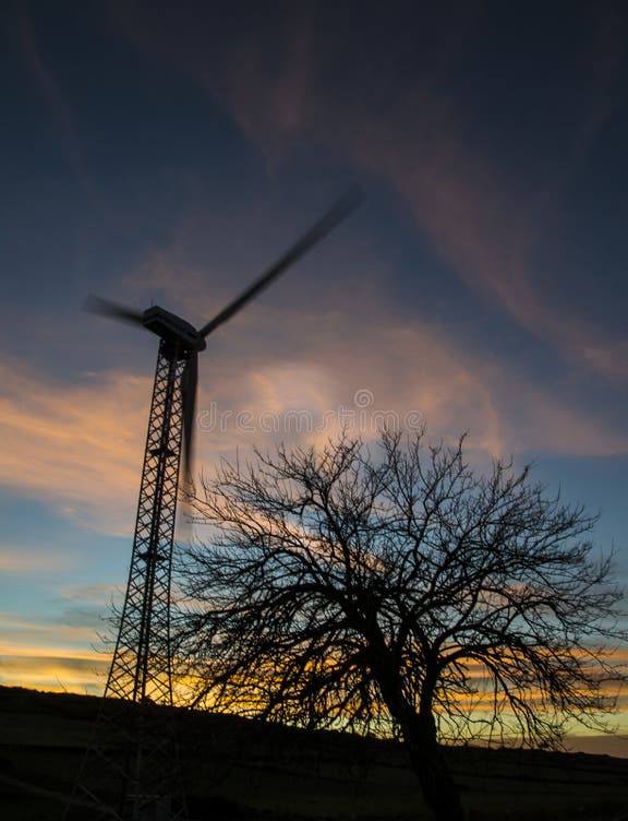 Bare tree with propeller stock image. Image of propeller - 63203507