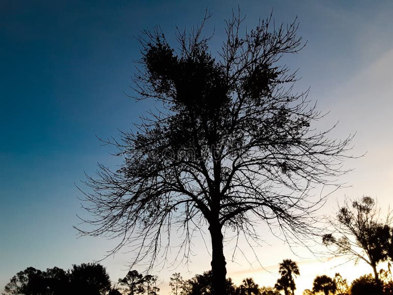 Sil Bare Feet Stock Photos - Free & Royalty-Free Stock Photos from ...