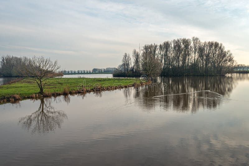 Bare Tree Silhouettes Reflected in the Smooth Water Surface Stock Photo ...