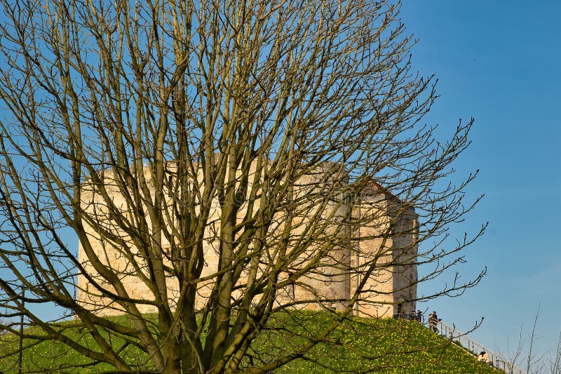 Bare Tree, Stone Building, and Green Hill in York, UK Stock Photo ...