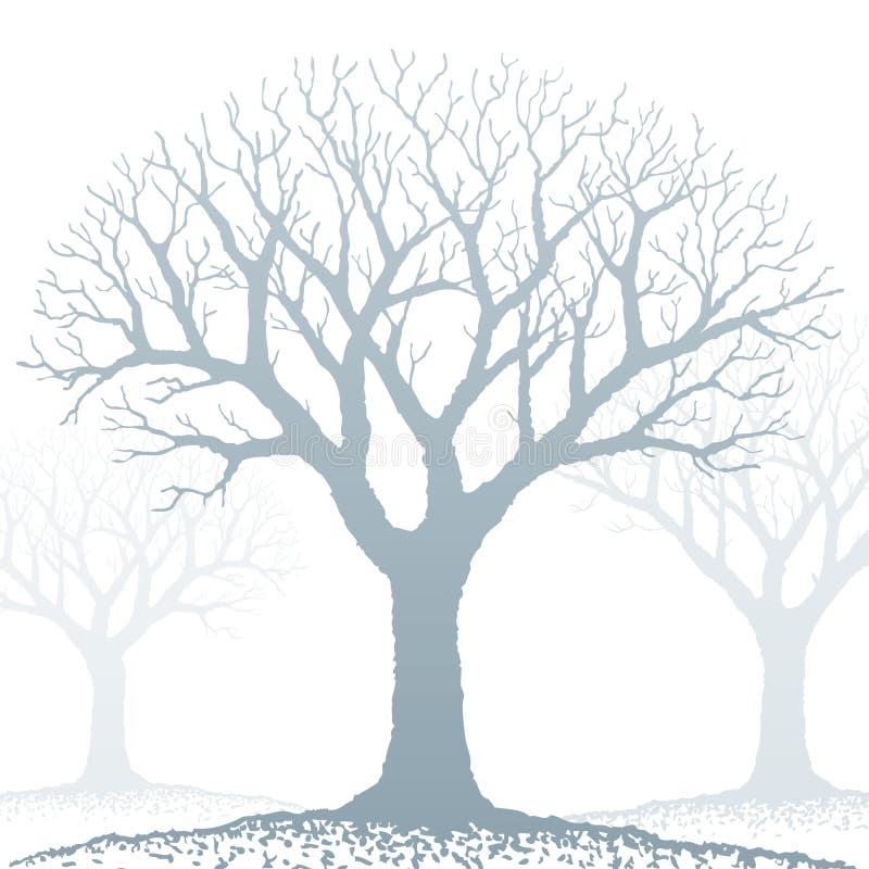 Bare tree (vector) stock vector. Illustration of meadow - 7556568