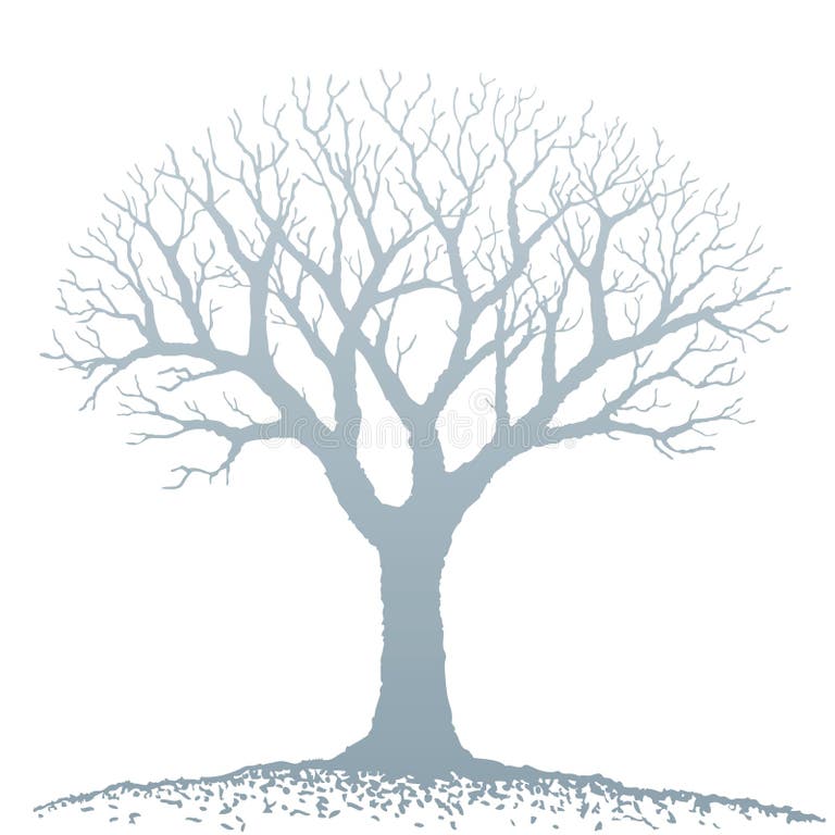 Bare Tree Drawing Stock Illustrations – 14,872 Bare Tree Drawing Stock ...
