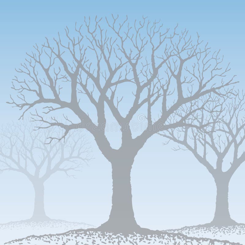 Bare tree (vector) stock vector. Illustration of meadow - 7556568