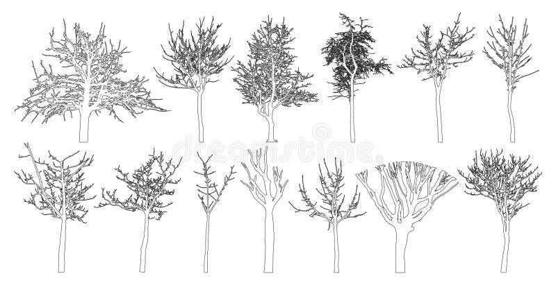 Bare Trees Contour, Set. Beautiful Leafless Trees Stock Vector ...