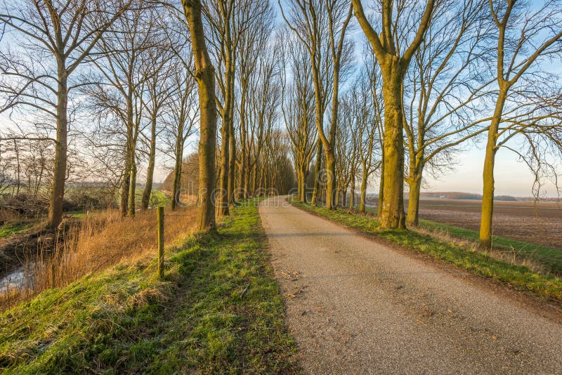 Country Road between Two Ditches Stock Photo - Image of grass, autumn ...