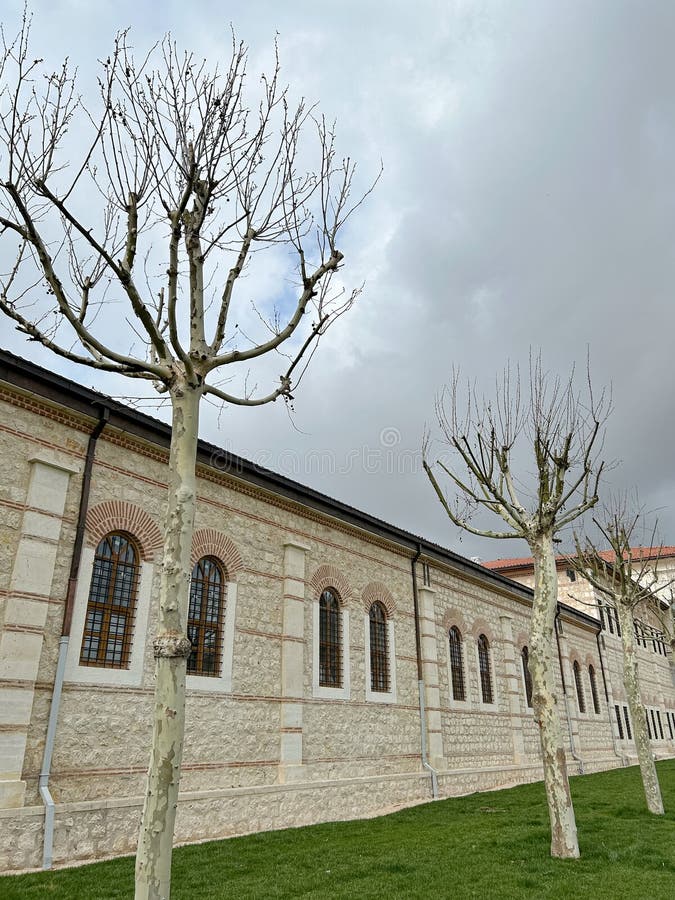 Bare Trees and a Historic Stone Building with Arched Windows Under a ...