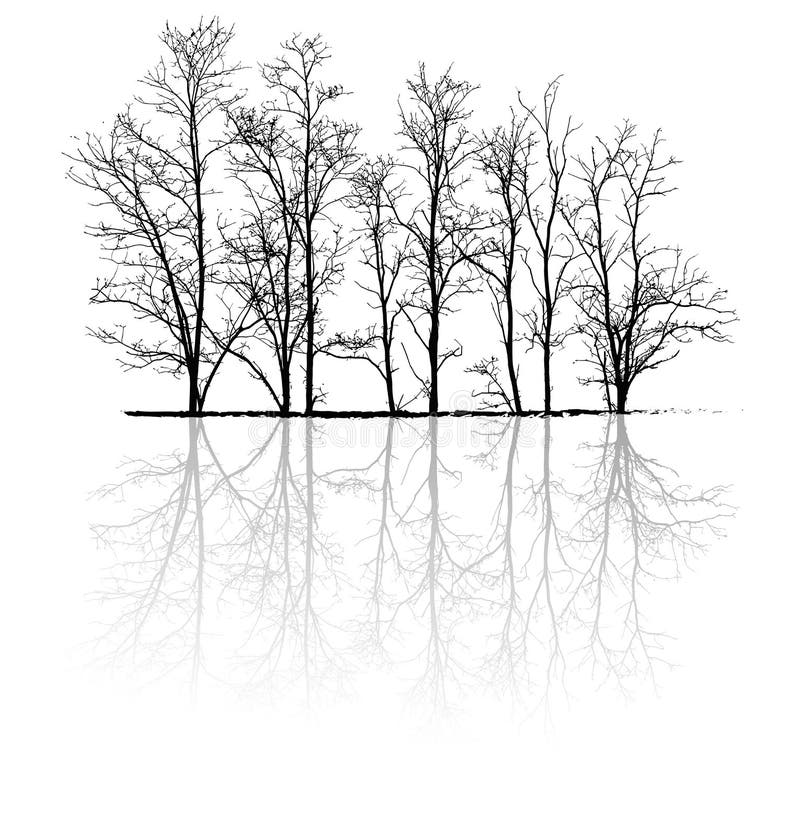 Bare trees with reflection stock vector. Illustration of shoreline ...
