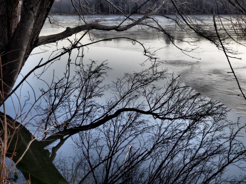 Bare Trees Reflection in Lake in Cold Weather Seasons Stock Photo ...