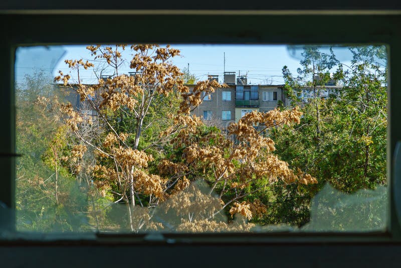 Bare Trees Seen through Broken Window Stock Image - Image of factory ...