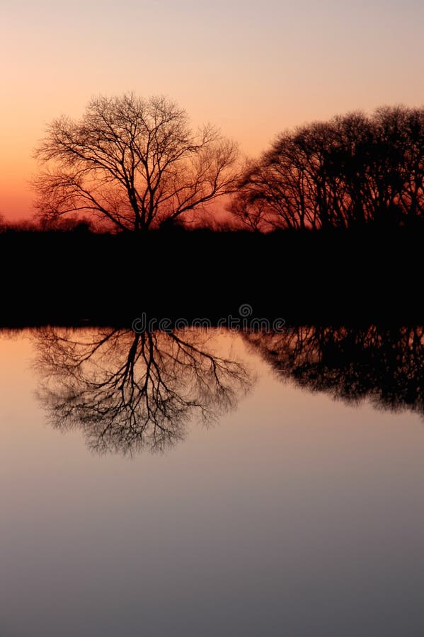 Bare Trees at Sunset stock photo. Image of trees, sunset - 2846732