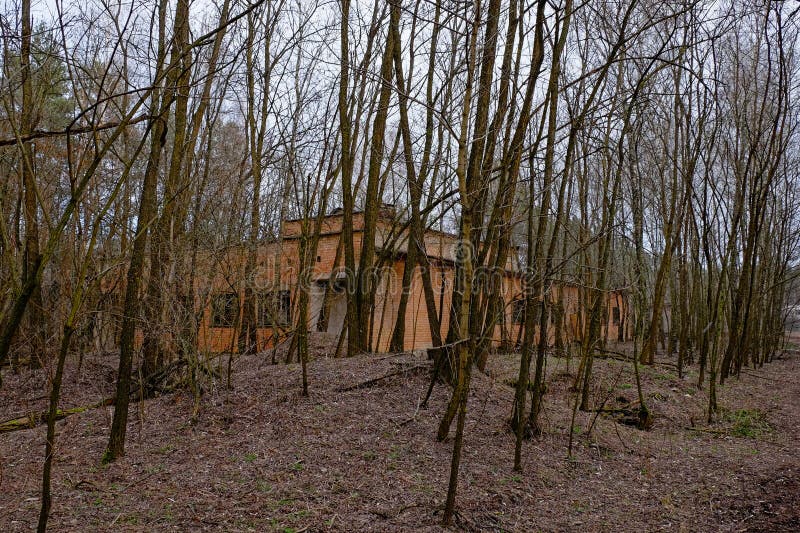 Bare Trees Surround an Isolated, Unmarked Building Stock Image - Image ...
