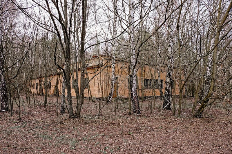 Bare Trees Surround an Old, Abandoned Yellow Building with Broken ...