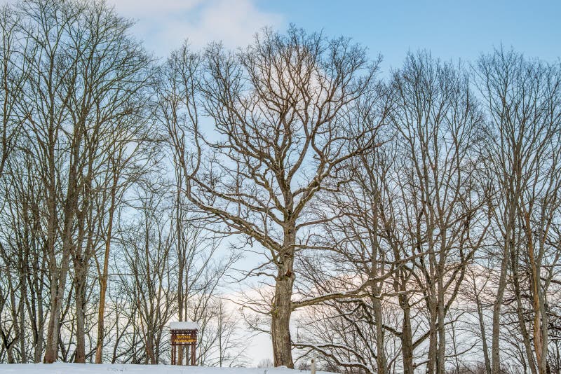 218 Bare Mound Stock Photos - Free & Royalty-Free Stock Photos from ...