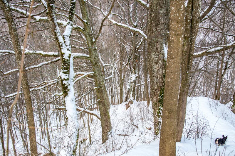 218 Bare Mound Stock Photos - Free & Royalty-Free Stock Photos from ...