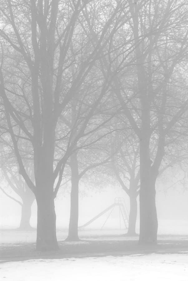 Bare trees in winter fog stock image. Image of bare, twisted - 1939041
