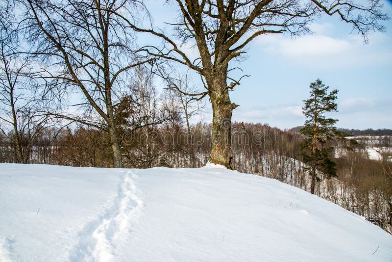 221 Bare Mound Stock Photos - Free & Royalty-Free Stock Photos from ...