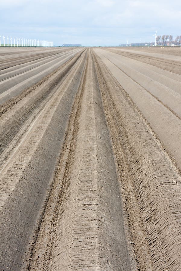 Bare Winter Farmland Waiting for Spring Stock Image - Image of milieu ...