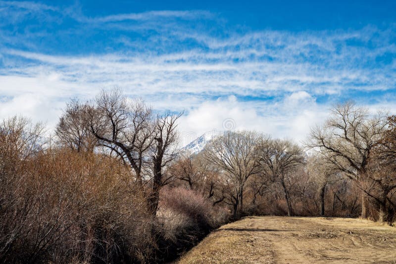 Bare Winter Trees N Desert Valley with Distant Cloudy Mountains Stock ...
