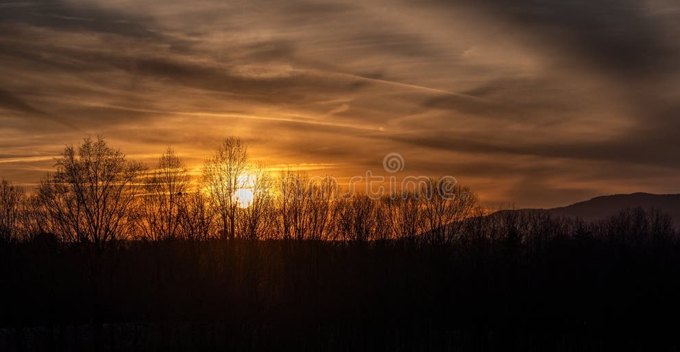 Bare Winter Trees Standing Silently As the Sun Sets Behind Them Stock ...