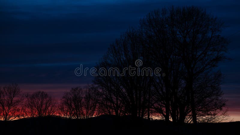 Bare Winter Trees Standing Silently before the Beautiful Sunset Stock ...