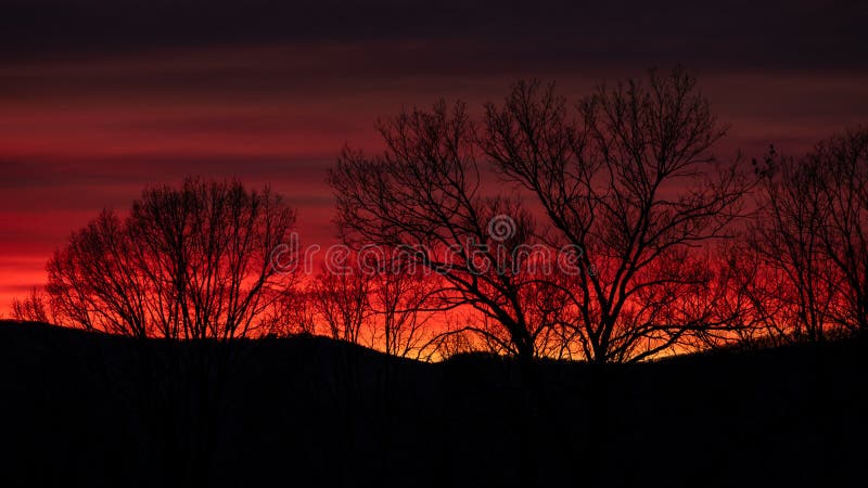 Bare Winter Trees Standing Silently before the Beautiful Sunset Stock ...