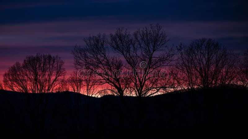 Bare Winter Trees Standing Silently before the Beautiful Sunset Stock ...