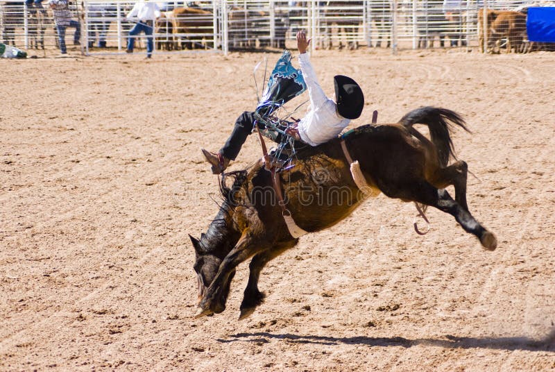 Rodeo Barrel Racing editorial stock photo. Image of champ - 20957648