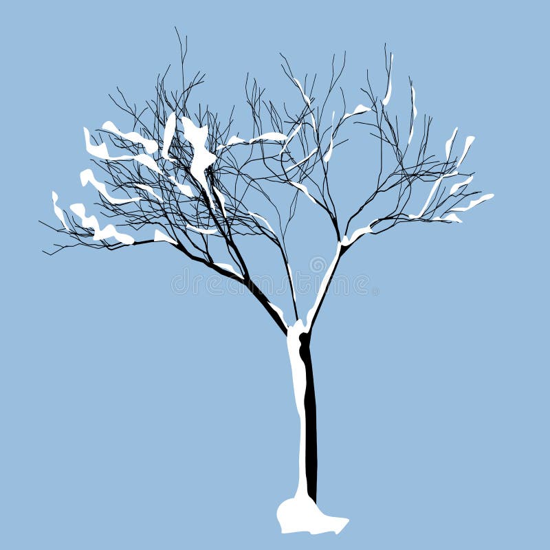 Bared Tree with Snow on it. Single Tree in Winter. Illustration. Stock ...