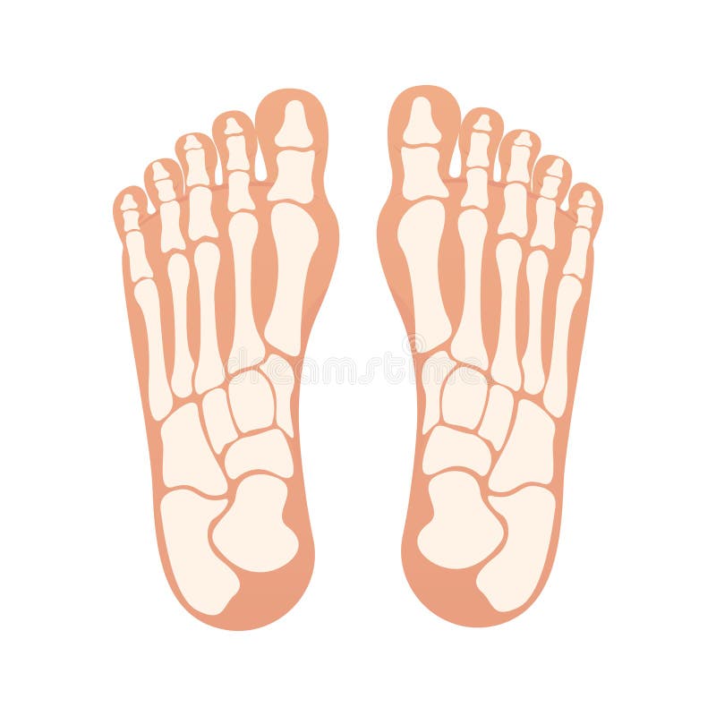 Bare Bears Stock Illustrations – 24 Bare Bears Stock Illustrations ...