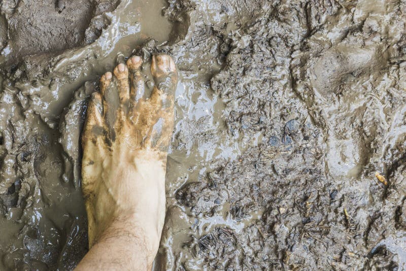 A Barefoot Aerial View on Mud Surface in the Forest Stock Photo - Image ...