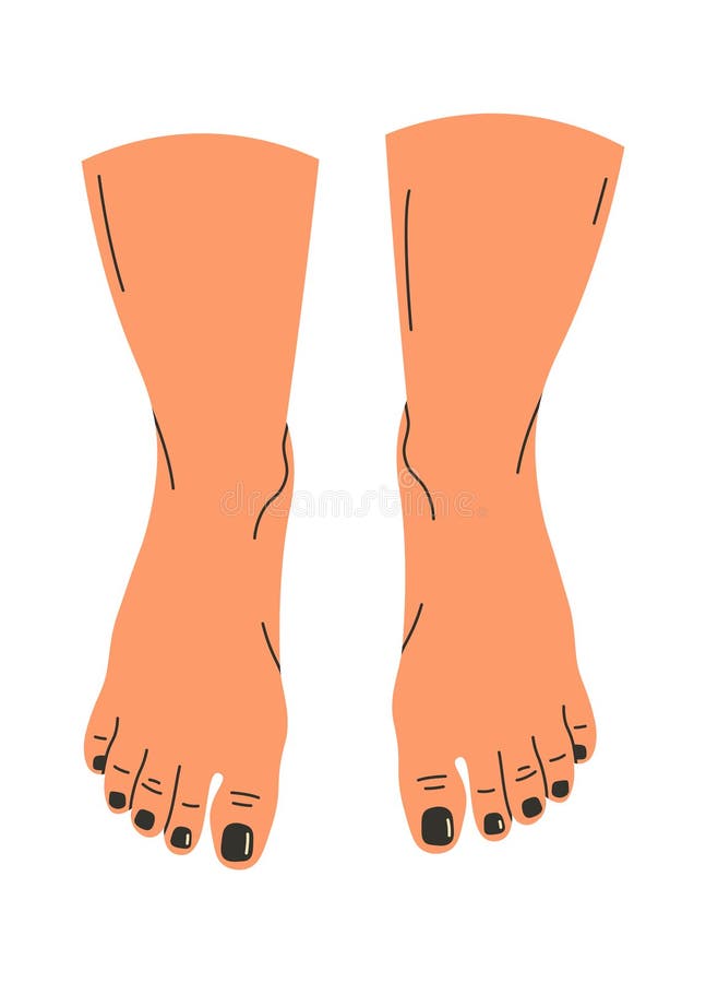 Barefoot Legs Design Element Stock Vector - Illustration of ankle, foot ...