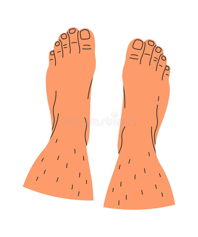 Barefoot Legs Design Element Stock Vector - Illustration of wear, soft ...