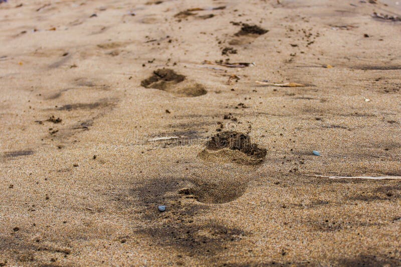 Barefoot In The Sand Beach Walking Person Stock Photo - Image of sandy ...