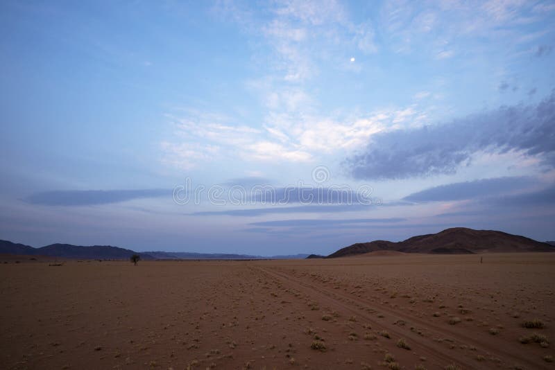 Barren Red Sand and Dead Grass in the Desert Stock Image - Image of ...