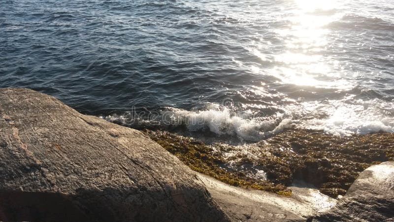 Russian sea stock photo. Image of russian, sunny, rock - 99770306