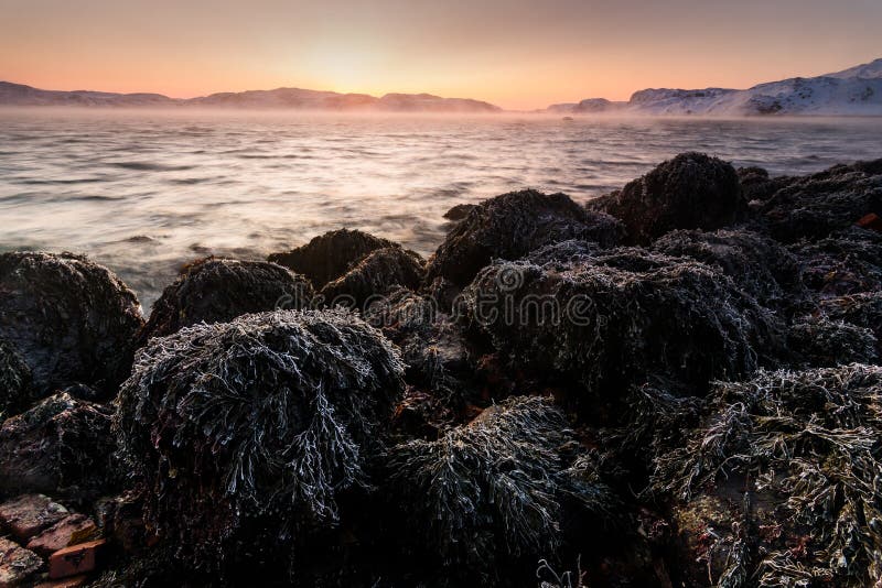 The Barents Sea during a Storm in a Severe Frost. Stock Photo - Image ...