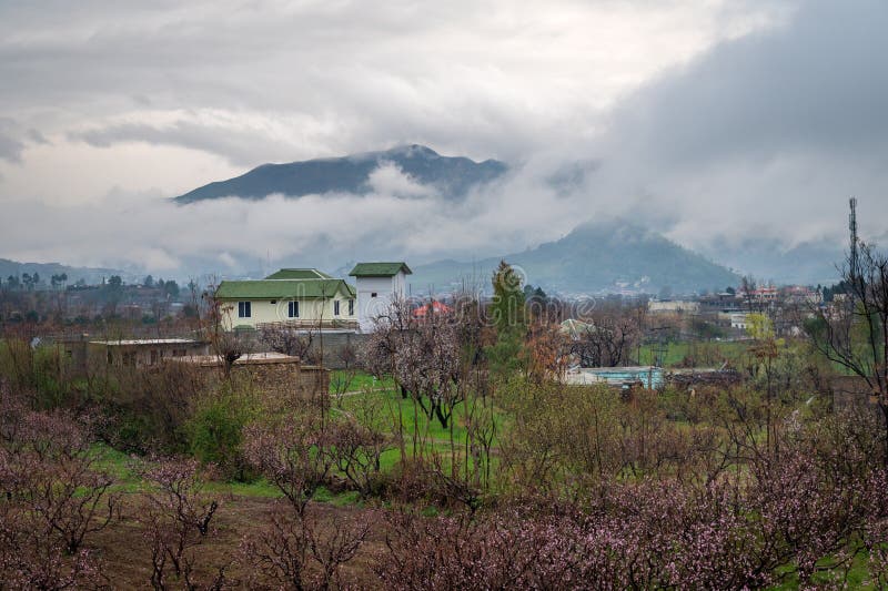 126 Swat Greenery Stock Photos - Free & Royalty-Free Stock Photos from ...