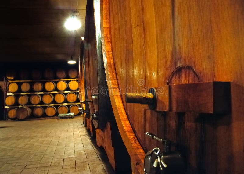 Barilotti fotografia stock. Immagine di prova, viticoltore - 2588886