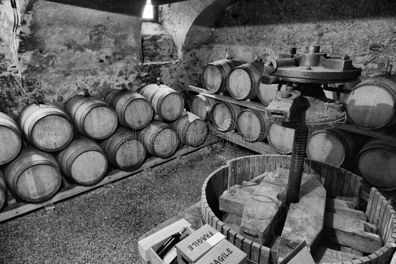Barils De Vin Dans Une Cave Rebecca 36 Image stock éditorial - Image du ...