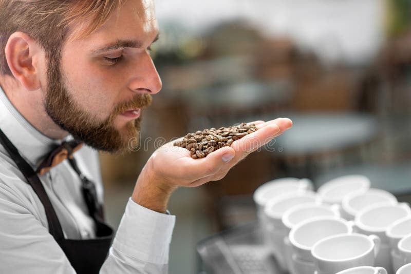 Checking Coffee Beans during Roasting Process at Factory Stock Image ...