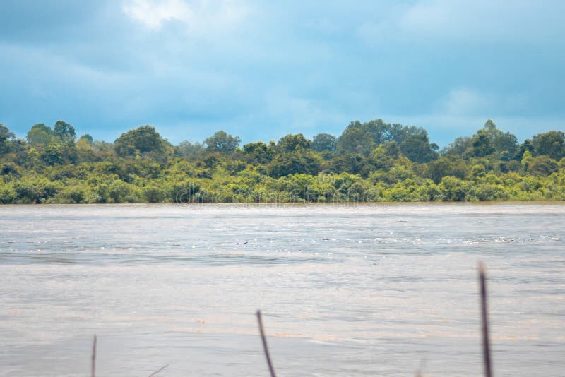 Barito river stock image. Image of barito, water, skyblue - 143898521