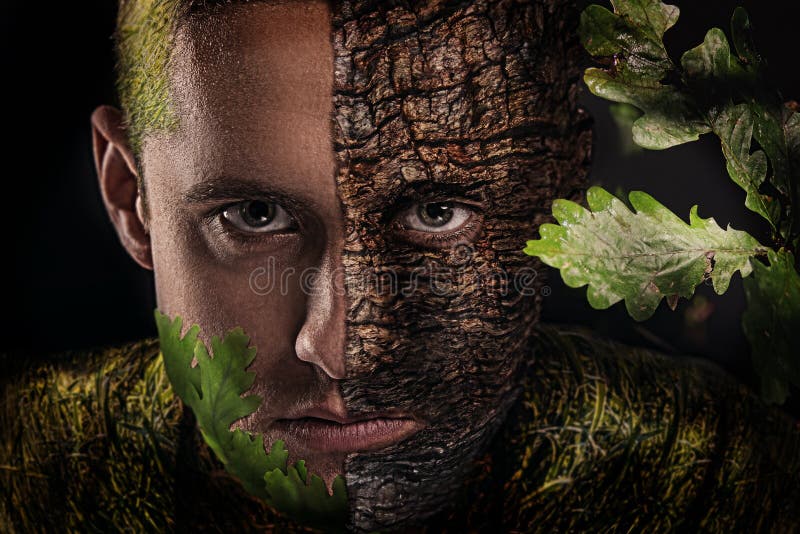 Bark stock photo. Image of grass, abstract, portrait - 32272050