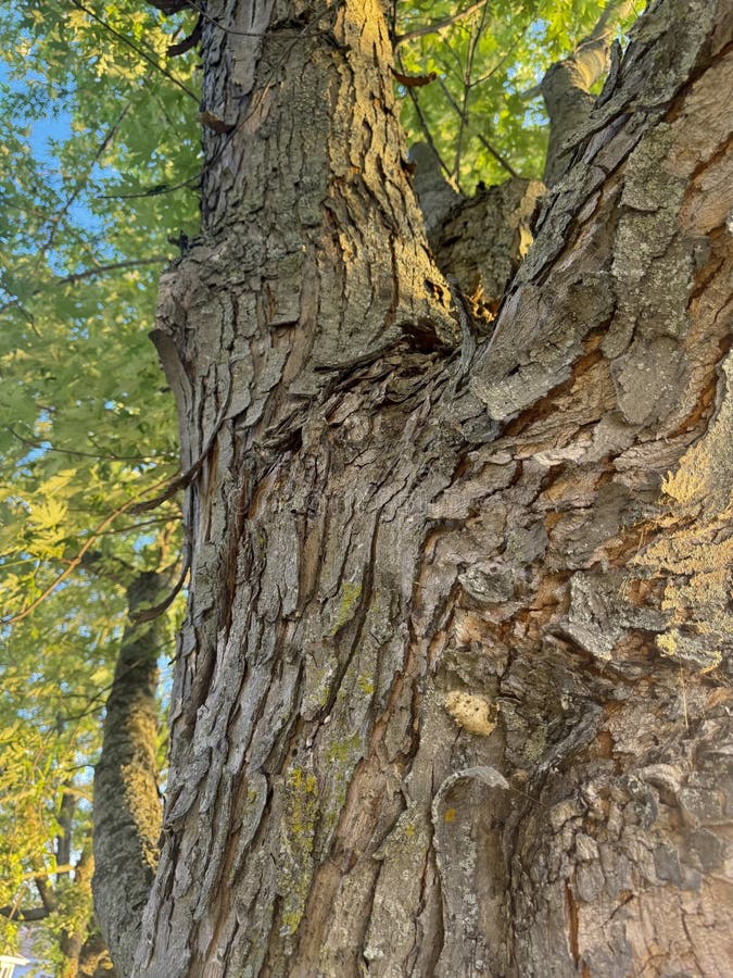 Sky Testure Stock Photos - Free & Royalty-Free Stock Photos from Dreamstime