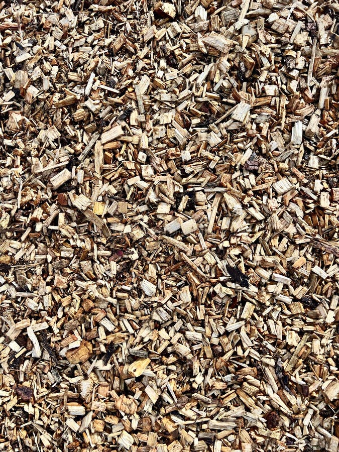 Bark Chippings stock image. Image of vegetation, landscaping - 310158435